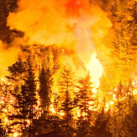 Trump talks loudly on air and the world listens in uncomfortable silence